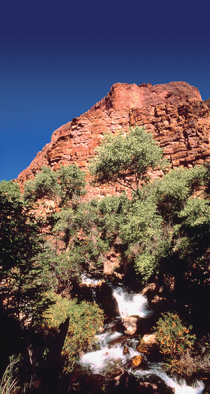 Photo Gallery | Payson Care Center